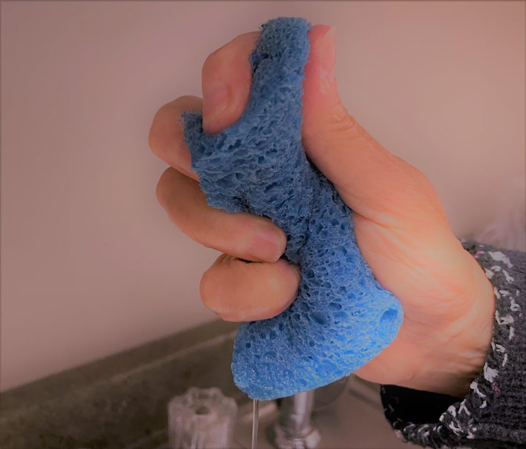 Be the Sponge – Maine Course Hospitality Group